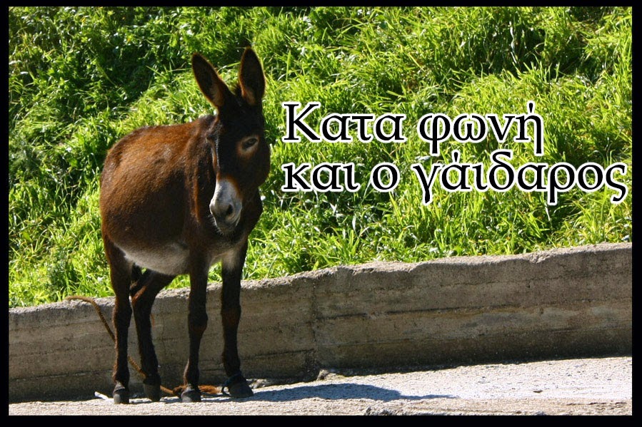 Πώς βγήκε η φράση, Κατά φωνή κι ο γάιδαρος - Ελληνικός κινηματογράφος